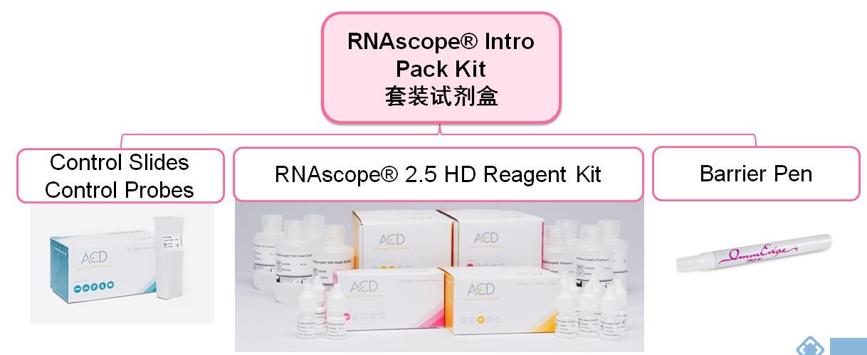 总算等到你！RNAscope新手入门套装限时促销-商家活动-资讯-生物在线
