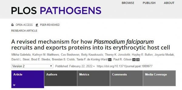 PLoS Pathog：新型疟疾疗法或有望克服当前疟原虫的耐药性 - 专区 - 生物谷